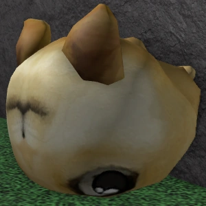 Backwards Doge | Find The Doges Wiki | Fandom
