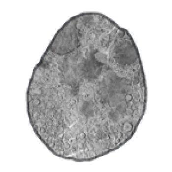 Moon Egg | Find the Eggs Wiki | Fandom