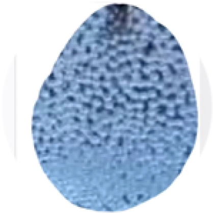 Fluid Egg | Find the Eggs Wiki | Fandom