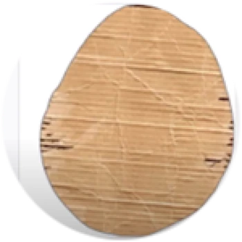 Cardboard Egg | Find the Eggs Wiki | Fandom