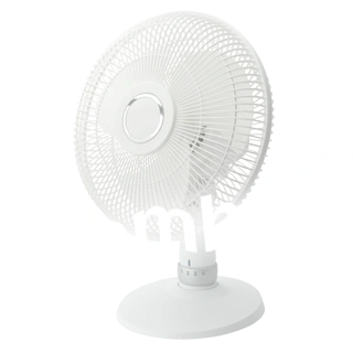 Rember Fan | Find the Fans Wiki | Fandom
