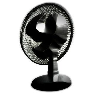 NULL Fan | Find the Fans Wiki | Fandom