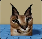 Floppa Morphs | Find The Floppa Morphs Wiki | Fandom