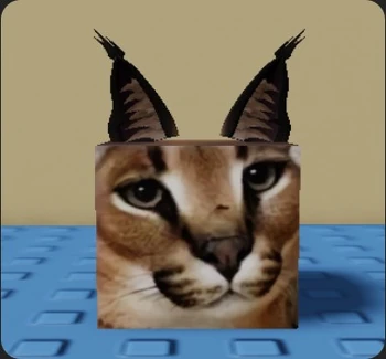 Floppa | Find The Floppa Morphs Wiki | Fandom