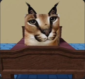 Bed Floppa | Find The Floppa Morphs Wiki | Fandom