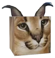 Doctor Floppa | Find The Floppa Morphs Wiki | Fandom