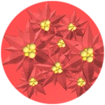 Poinsettia Party! | Find The Markers Wiki | Fandom