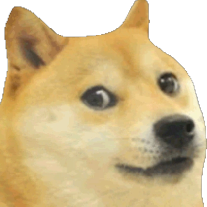 Doge | Find The Memes Wiki | Fandom