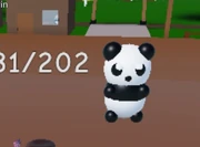 Panda | Find The Pandas Wiki | Fandom