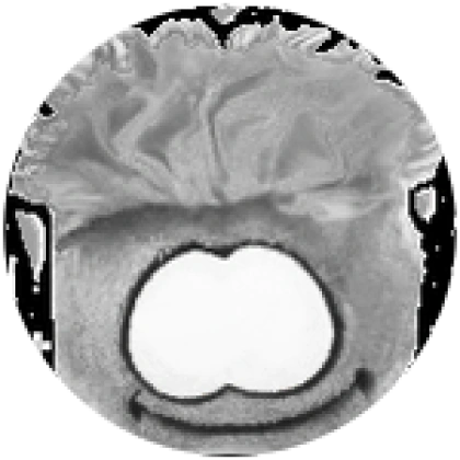 Achromatic Puffle | Find the Puffles Wiki | Fandom