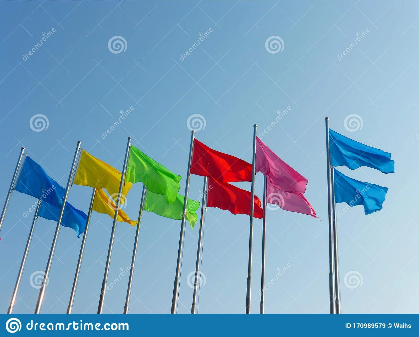 Flaggie | Find The Reggies Fanon Wiki | Fandom