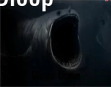 Aircraft Bloop | Find The Trevor Giants Wiki | Fandom