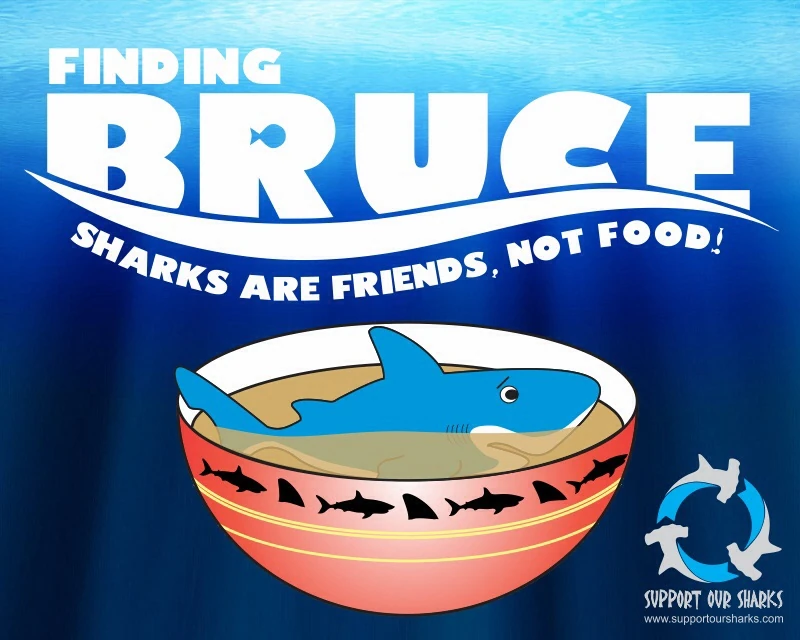 Finding bruce | Finding Nemo Fanon Wiki | Fandom