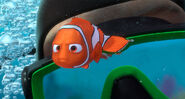 Nemo | Finding Nemo Fanon Wiki | Fandom