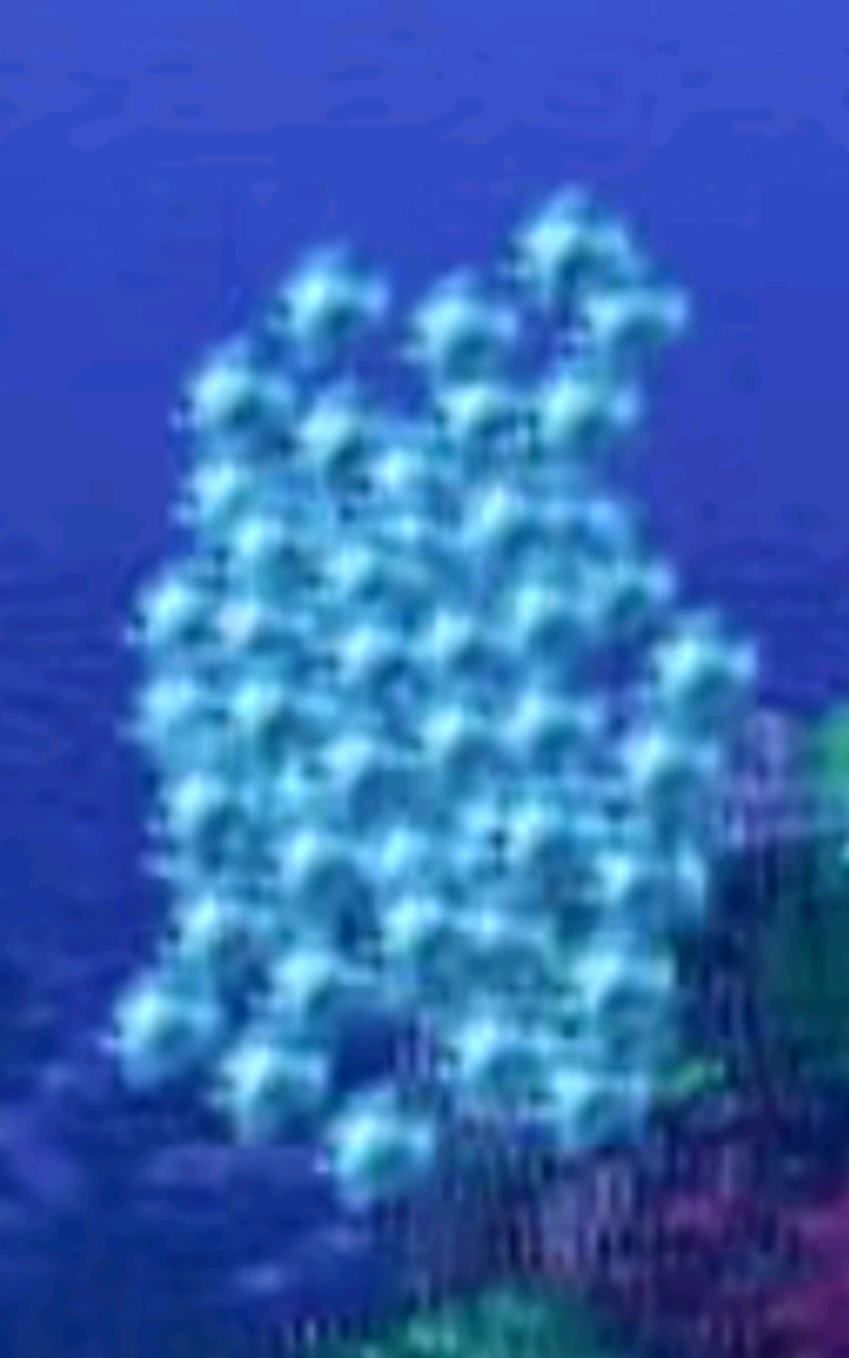 Moonfish | Finding Nemo Nemo's Ocean Discoveries V.Smile Wiki | Fandom