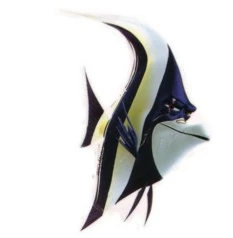 Moorish Idol | Finding nemo species Wikia | Fandom