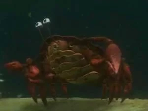 Atlantic Red Crab | Finding nemo species Wikia | Fandom