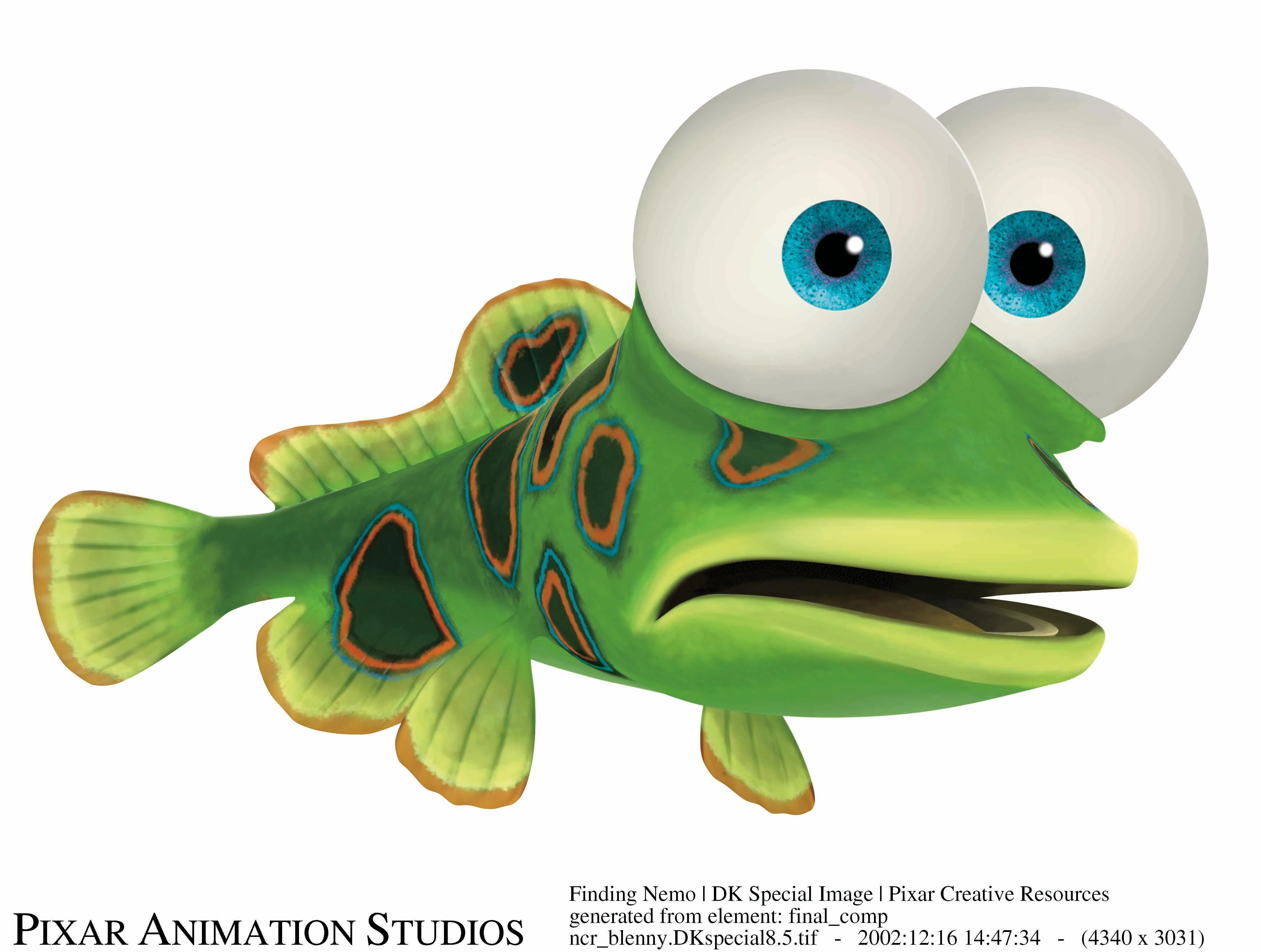 Psychedelic Mandarin Fish