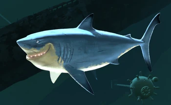 Great White Shark | Finding nemo species Wikia | Fandom