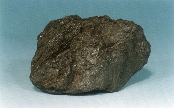 Rock | Finding nemo species Wikia | Fandom