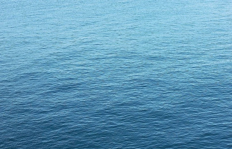 Sea | Finding nemo species Wikia | Fandom