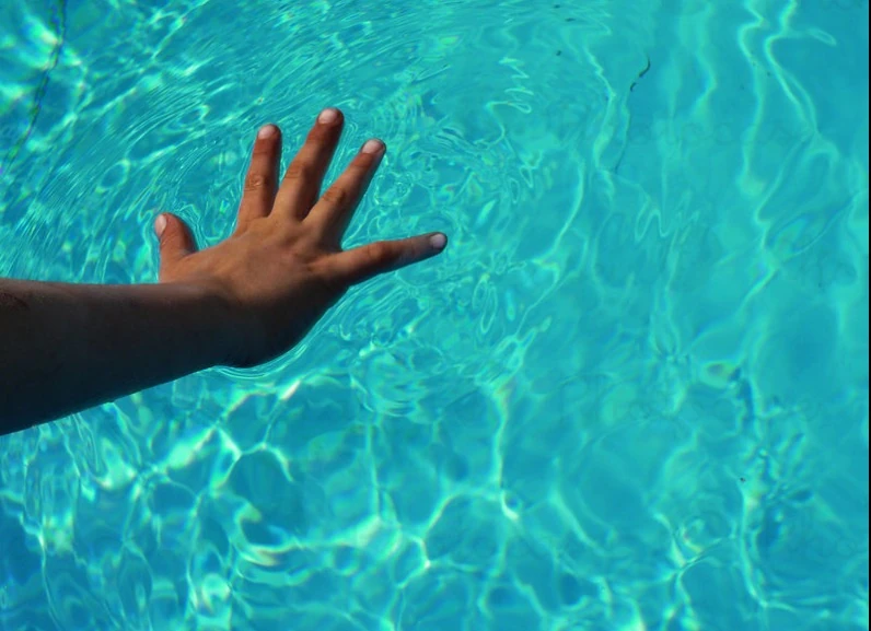 Hands | Finding nemo species Wikia | Fandom