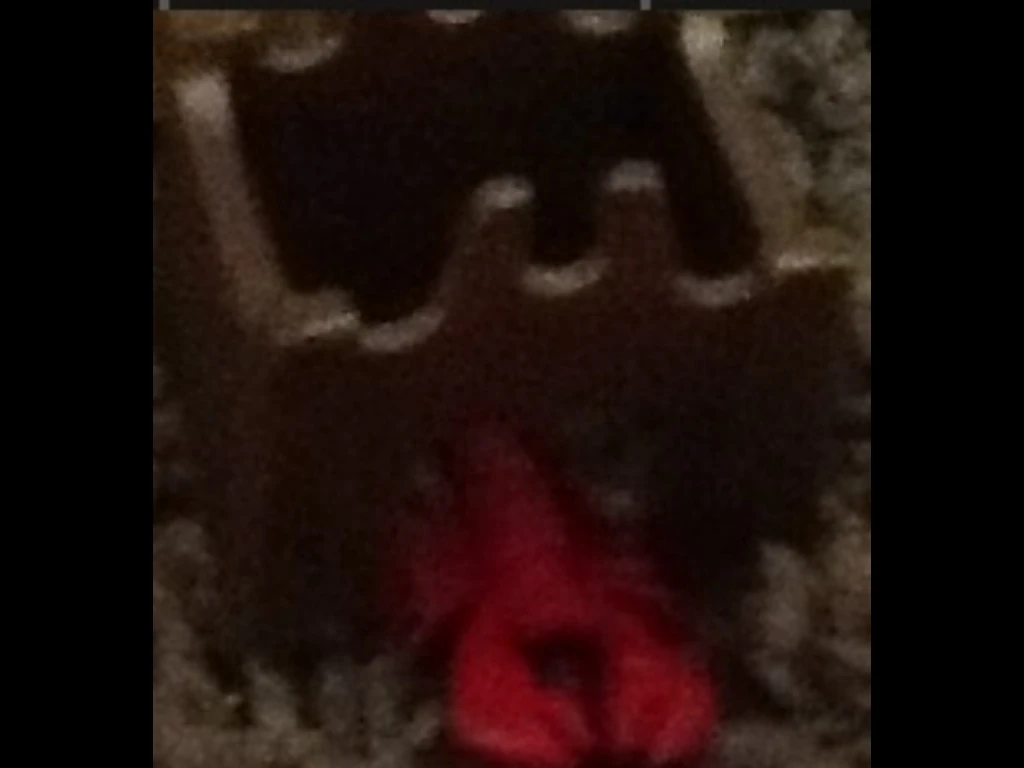 Jacques | Finding nemo/dory playmobil Wikia | Fandom