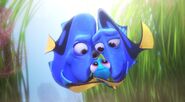 Charlie | Finding Dory Wiki | Fandom