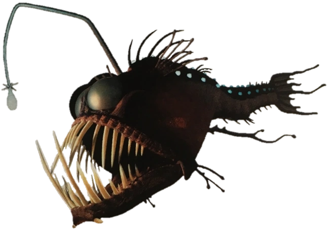 Anglerfish | Finding Dory Wiki | Fandom