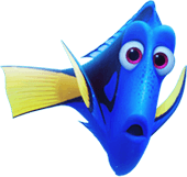 Dory/Gallery | Finding Dory Wiki | Fandom