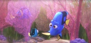 Charlie | Finding Dory Wiki | Fandom