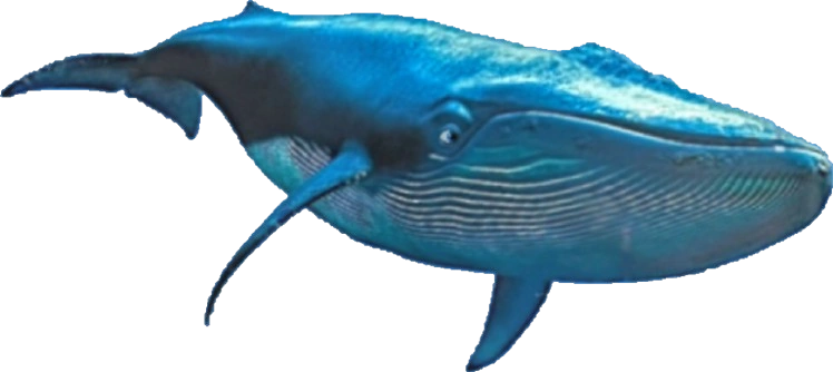 The Whale (Tank) | Finding Dory Wiki | Fandom