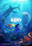 Dory/Gallery | Finding Dory Wiki | Fandom