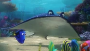 Mr. Ray | Finding Dory Wiki | Fandom