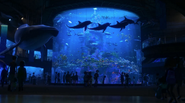 Marine Life Institute | Finding Dory Wiki | Fandom