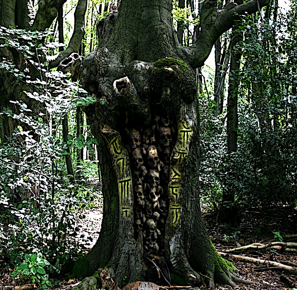 Chorus Trees | Findle Wiki | Fandom