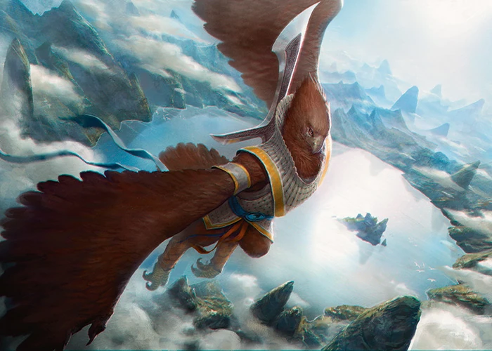 Aarakocra | Findle Wiki | Fandom