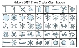 Frozenova Brick | Find The Bricks Wiki | Fandom