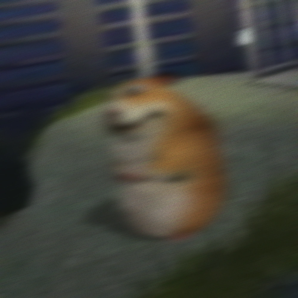 Poorly Photographed Chomik | Findthechomiks fanon Wiki | Fandom