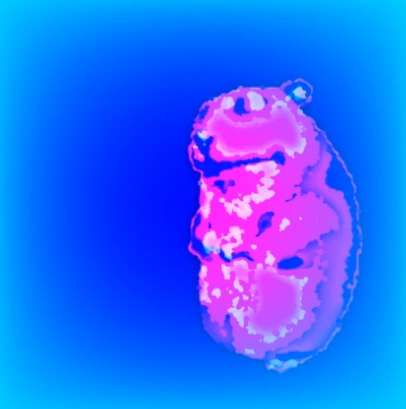 Heavily Edited Chomik | Findthechomiks fanon Wiki | Fandom