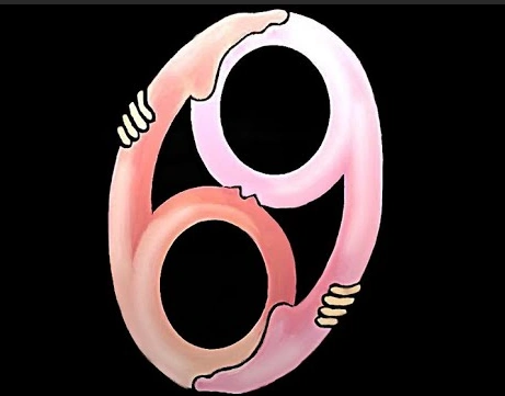 The Nicest Chomik | Findthechomiks fanon Wiki | Fandom