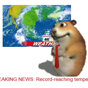 Weather Reporter Chomik | Findthechomiks fanon Wiki | Fandom