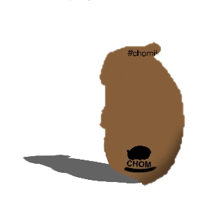 Color Card Chomik | Findthechomiks fanon Wiki | Fandom