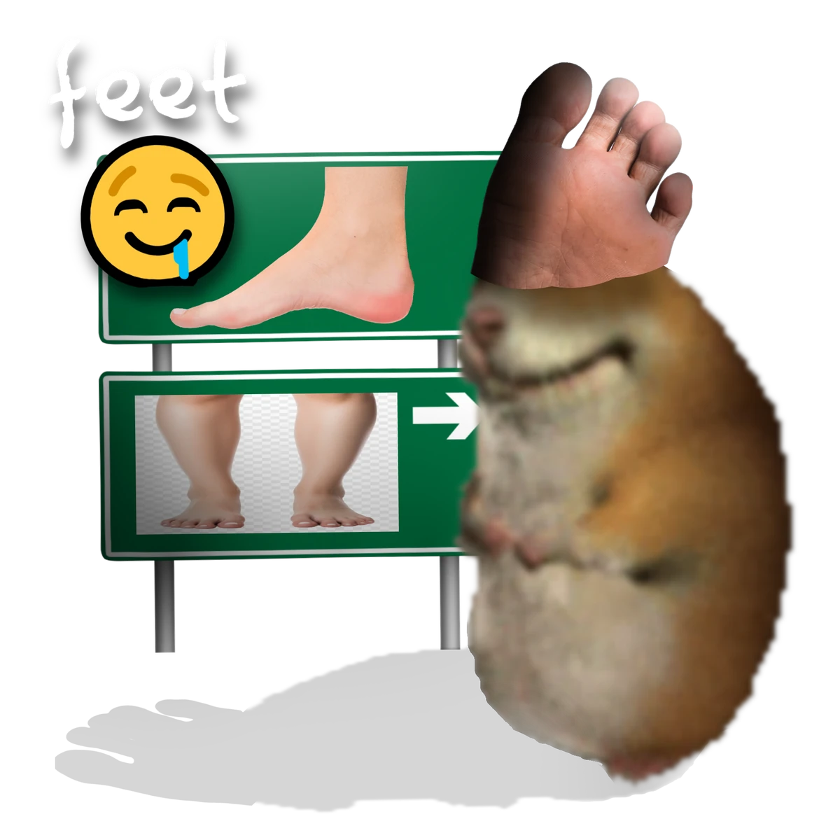 User blog:.emeraldk89/The Feetdirector | Findthechomiks fanon Wiki | Fandom