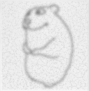 Ceiling Tile Chomik | Findthechomiks fanon Wiki | Fandom