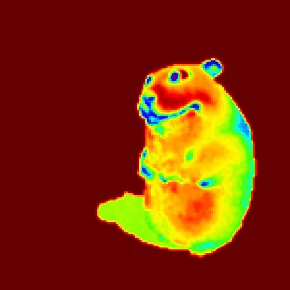 Heat Map Chomik | Findthechomiks fanon Wiki | Fandom