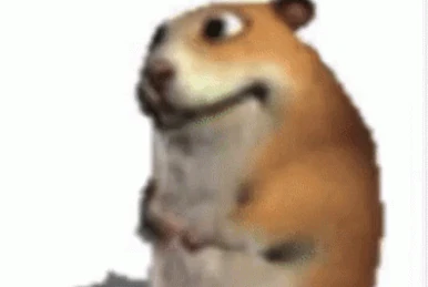 Dramatic Hamster Gif