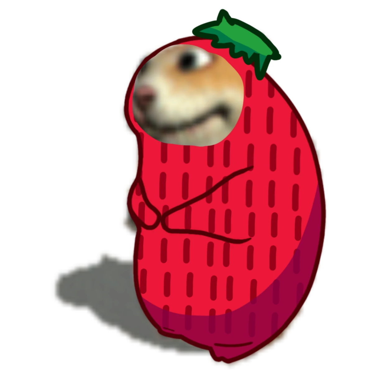 Strawberry Costume Chomik | Findthechomiks fanon Wiki | Fandom