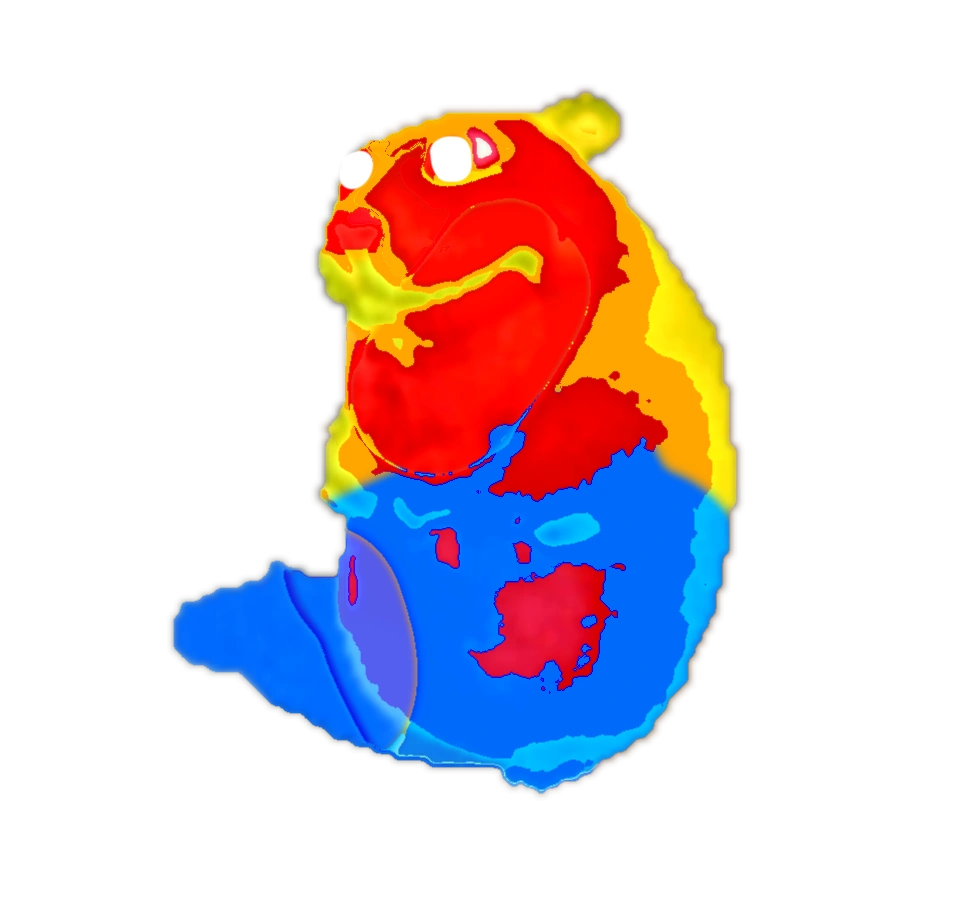 Primary Color Chomik | Findthechomiks fanon Wiki | Fandom