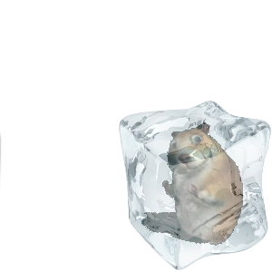 Frozen Chomik | Find The Chomiks Wiki | Fandom